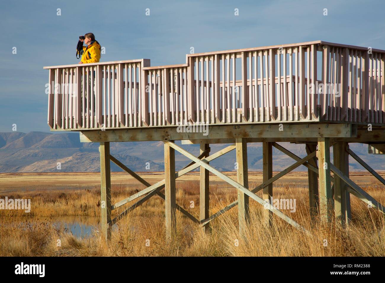 Migratory bird refuge hi-res stock photography and images - Alamy