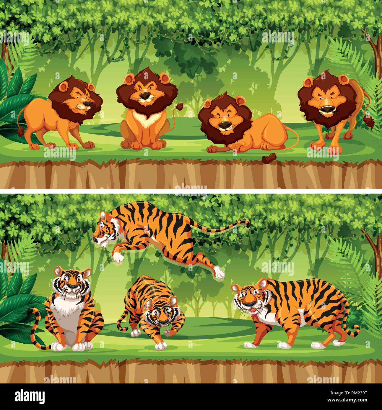 Wild animal in the jungle illustration Stock Vector Image & Art - Alamy