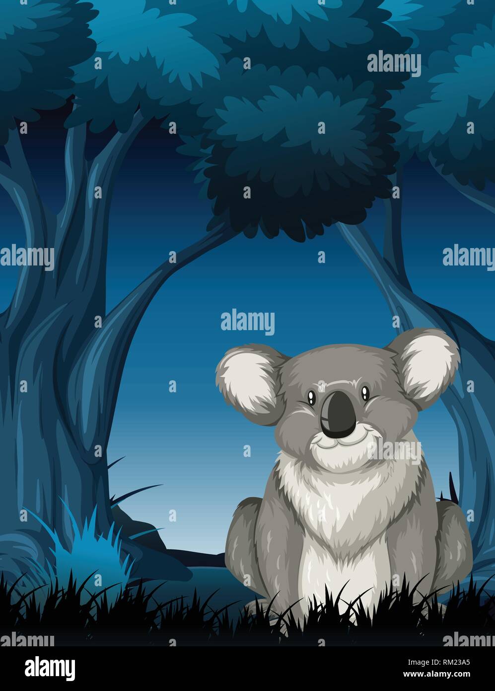 Koala in night scene illustration Stock Vector Image & Art - Alamy
