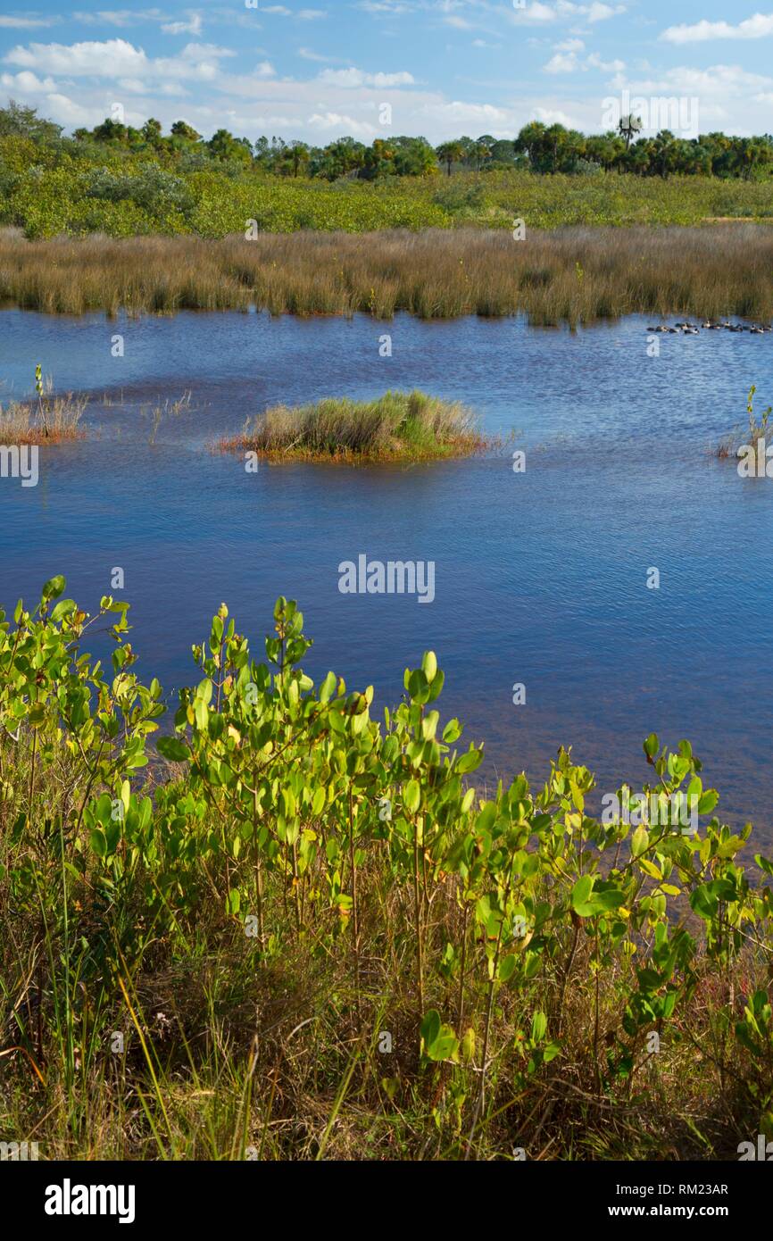 Black point hi-res stock photography and images - Alamy