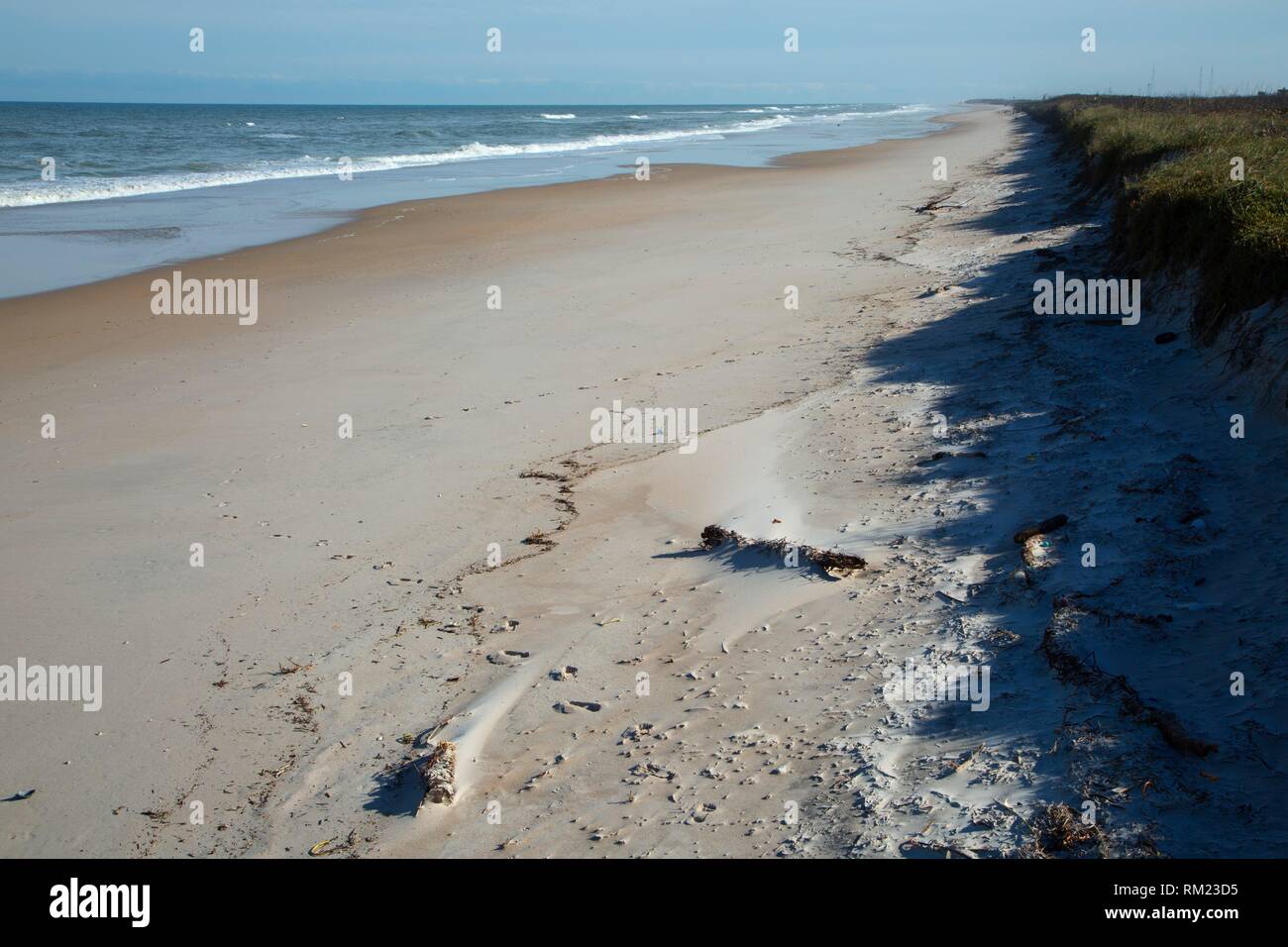 Florida beach bird hi-res stock photography and images - Alamy