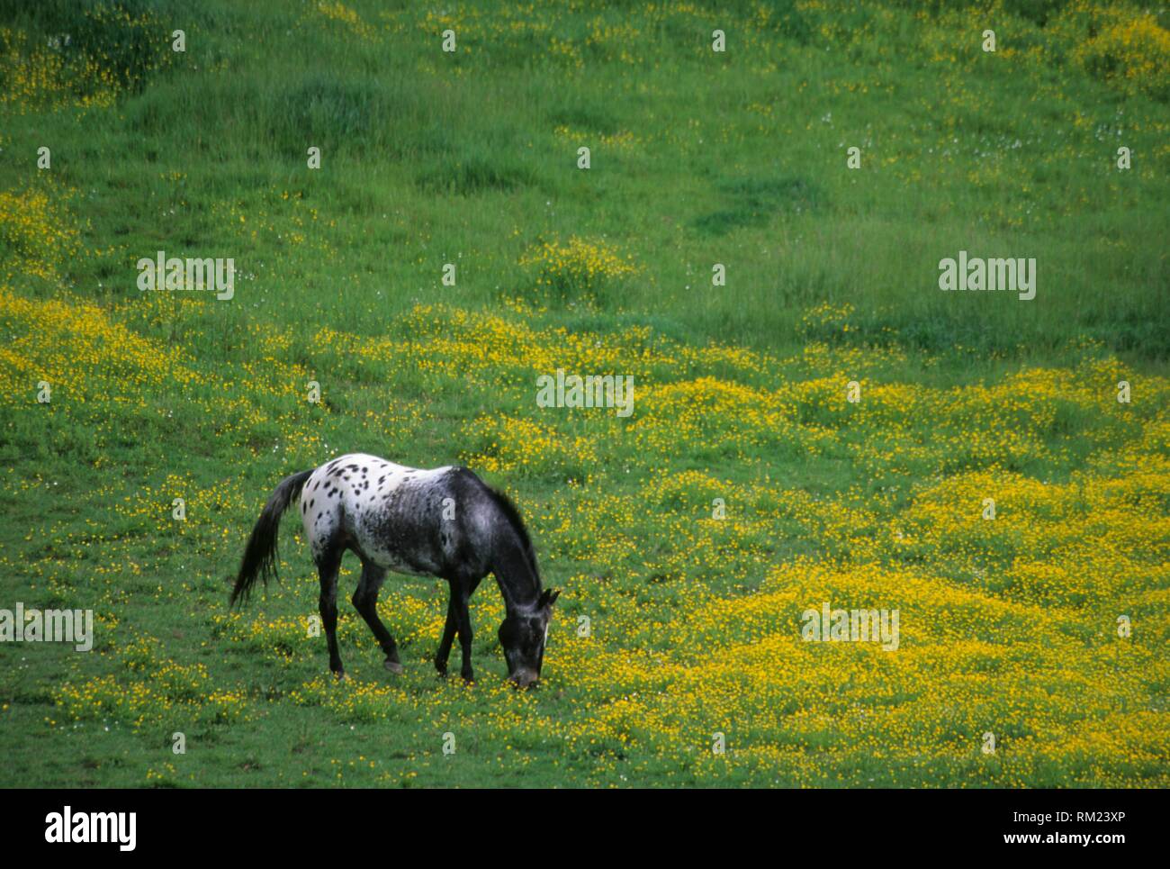 Broadbent High Resolution Stock Photography and Images - Alamy