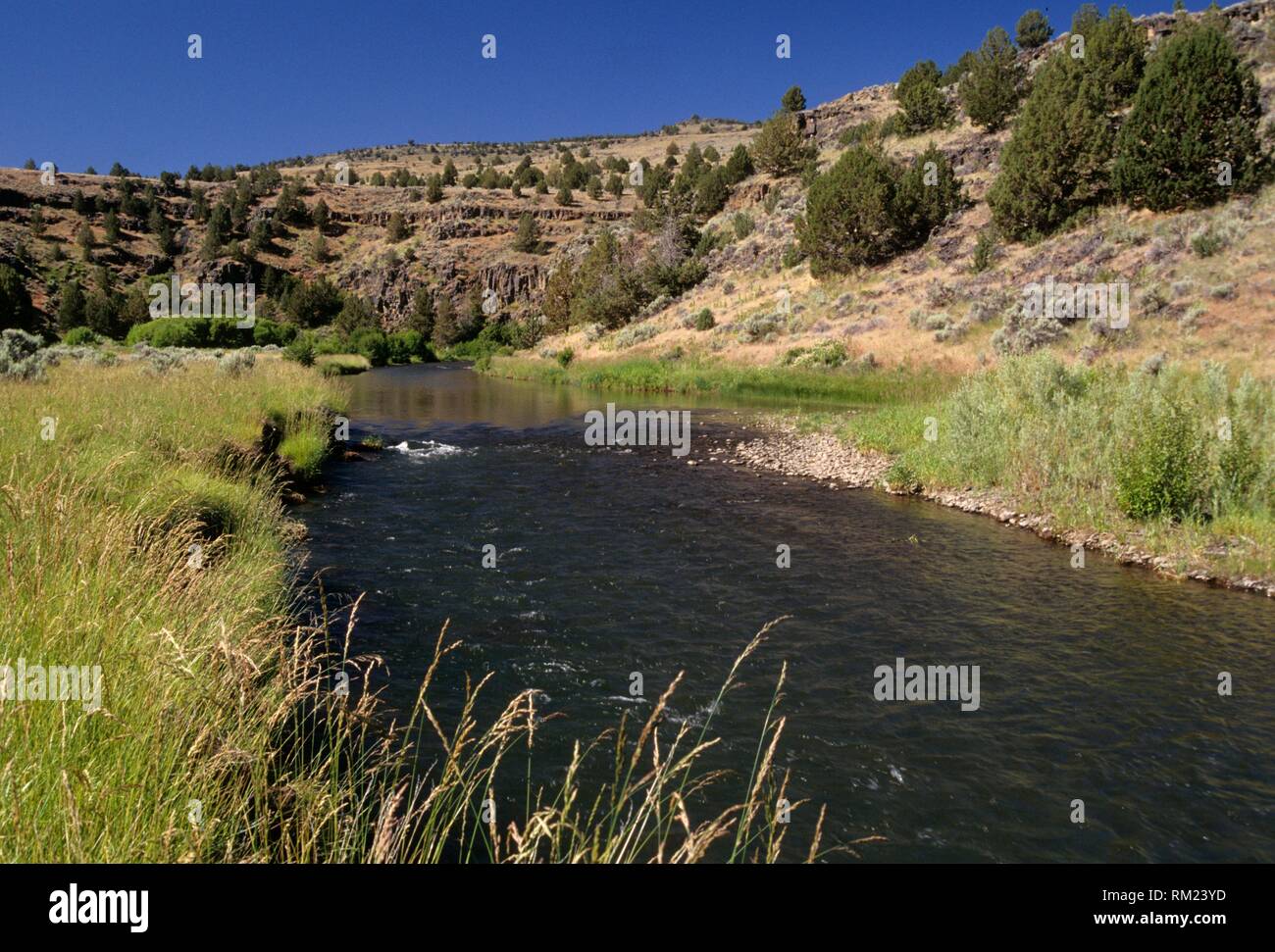Donner und blitzen wild and scenic river hi-res stock photography and ...