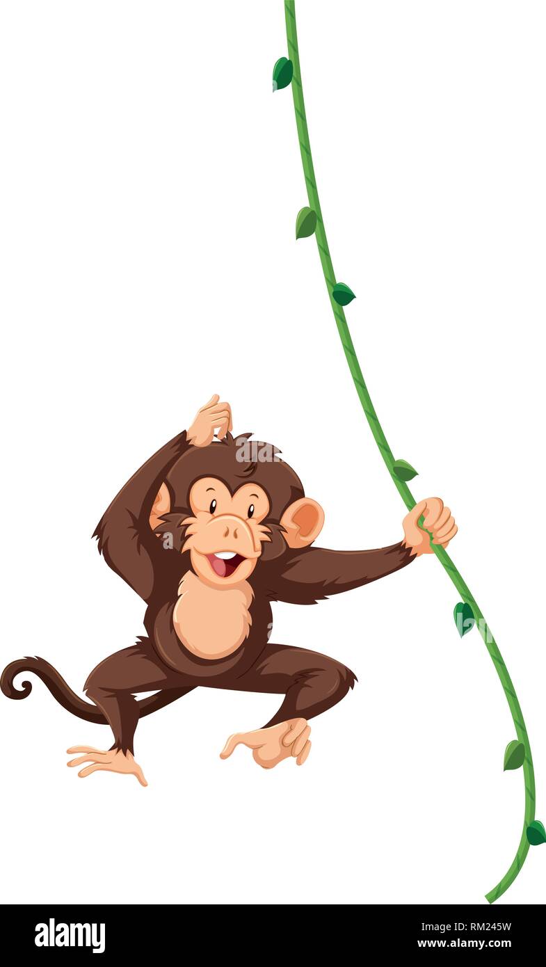 A monkey hanging on vine illustration Stock Vector Image & Art - Alamy