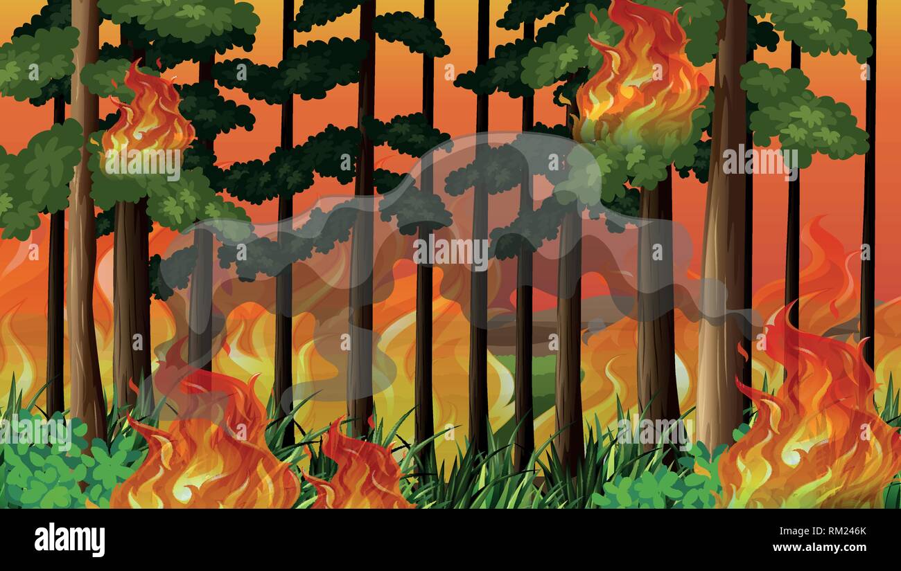 A wildfire disaster background illustration Stock Vector Image & Art ...