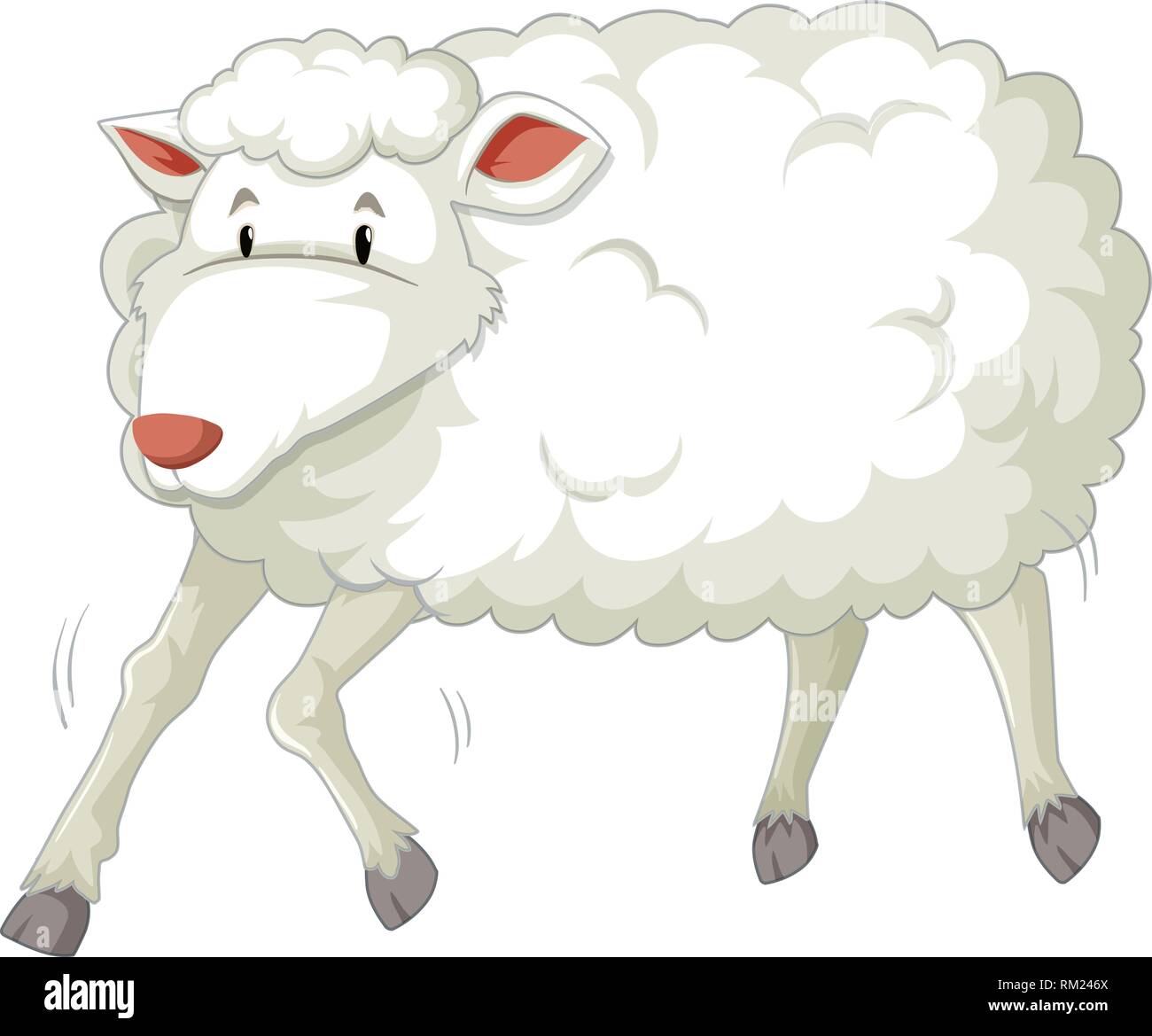 A white sheep Stock Vector Images - Alamy
