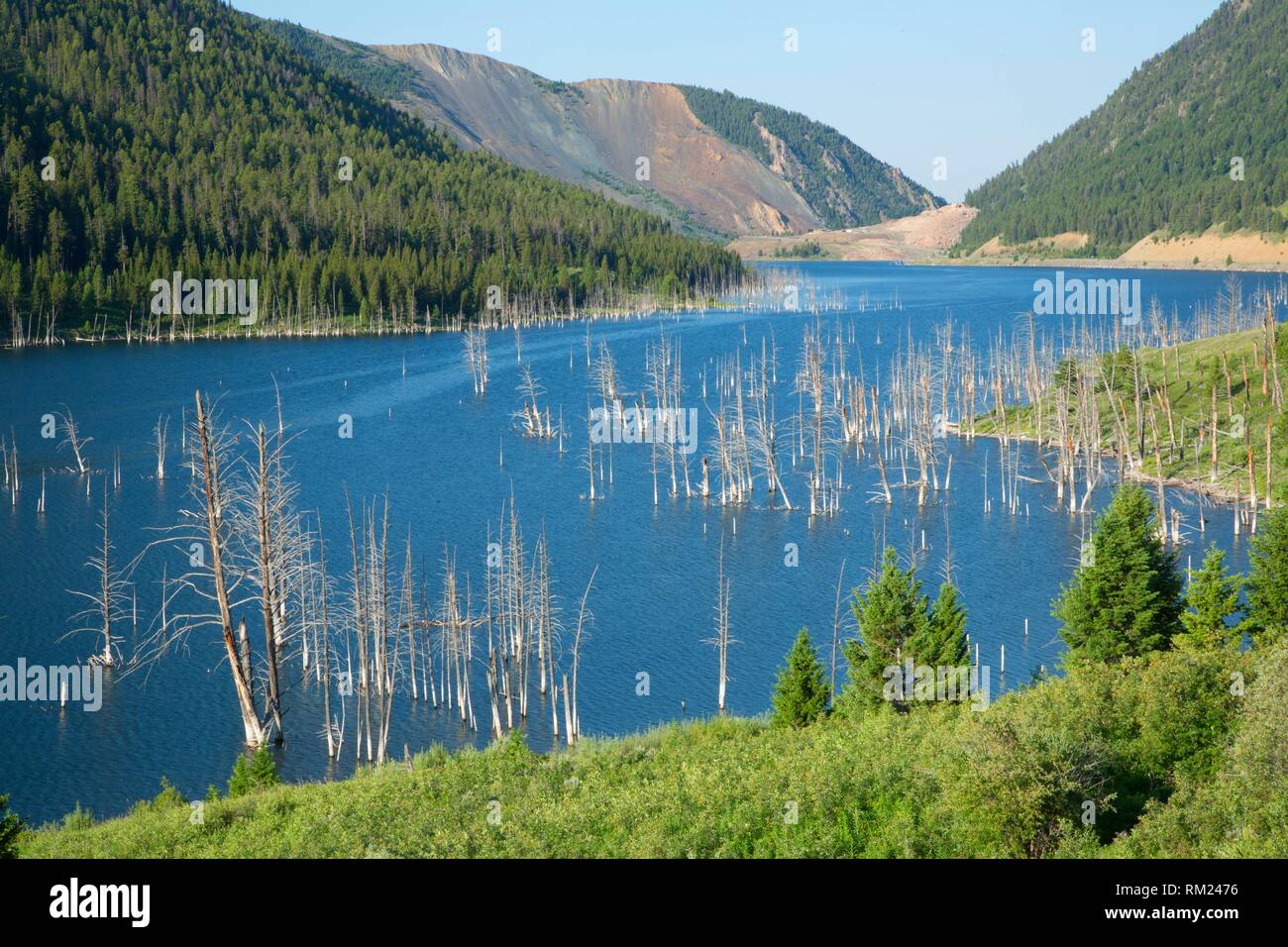 Madison River High Resolution Stock Photography and Images - Alamy