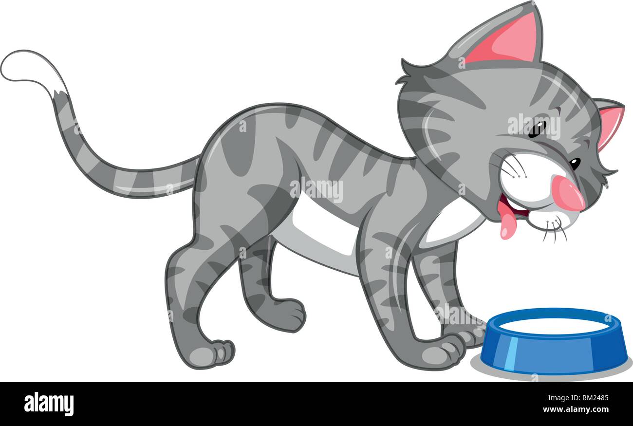Cat eating food Stock Vector Images - Alamy