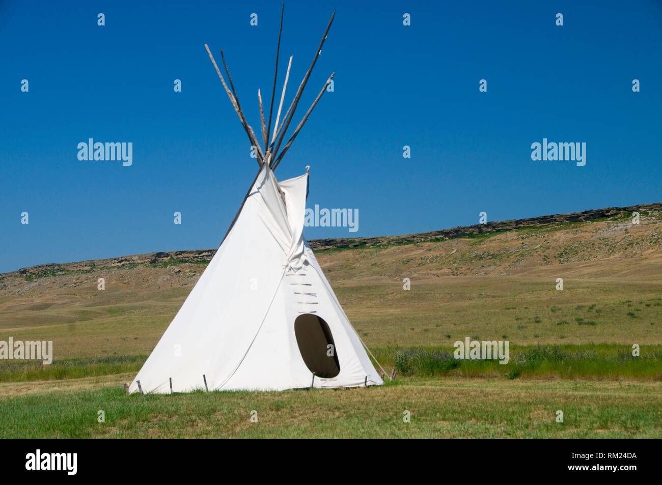 Buffalo jump hi-res stock photography and images - Alamy