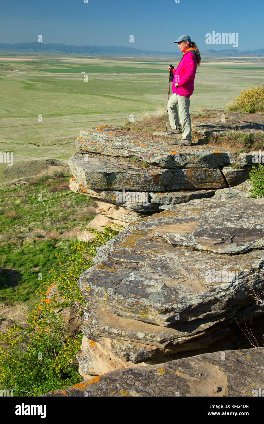 First Peoples Buffalo Jump State Park High Resolution Stock Photography ...