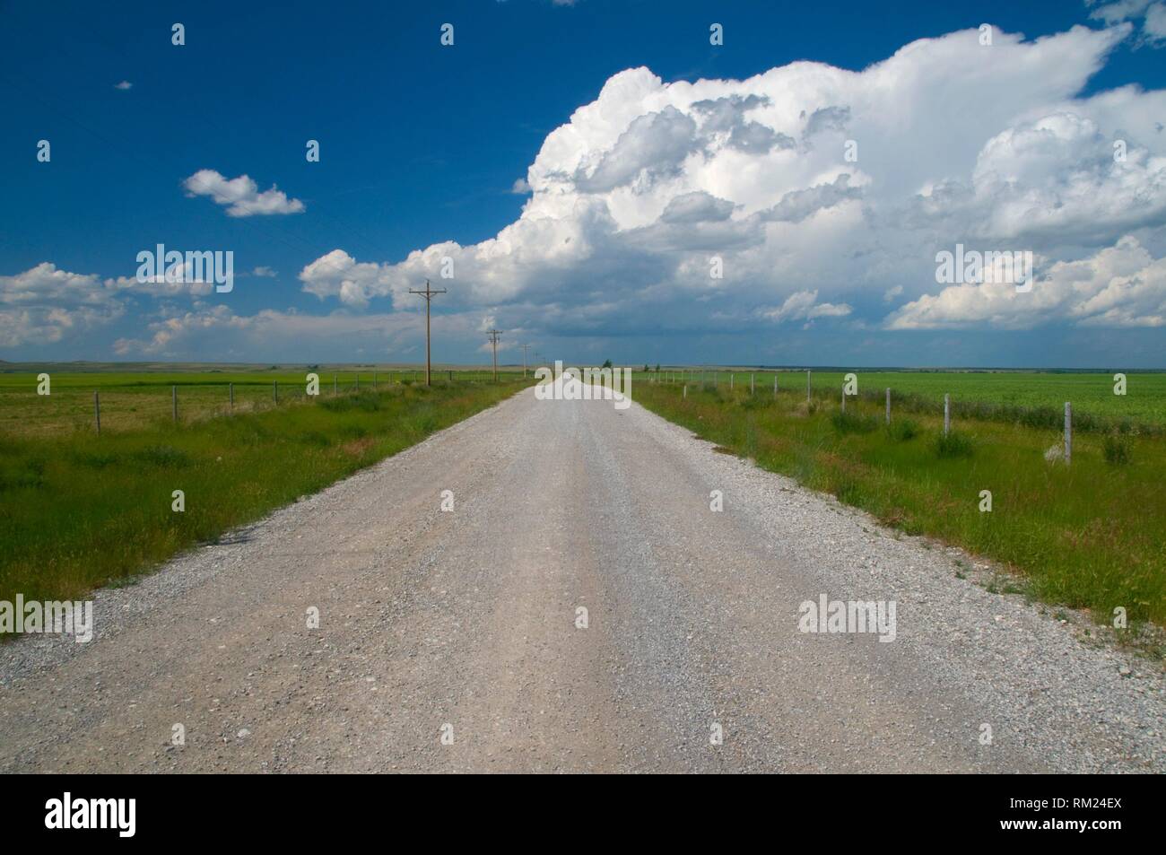 Pondera county hi-res stock photography and images - Alamy