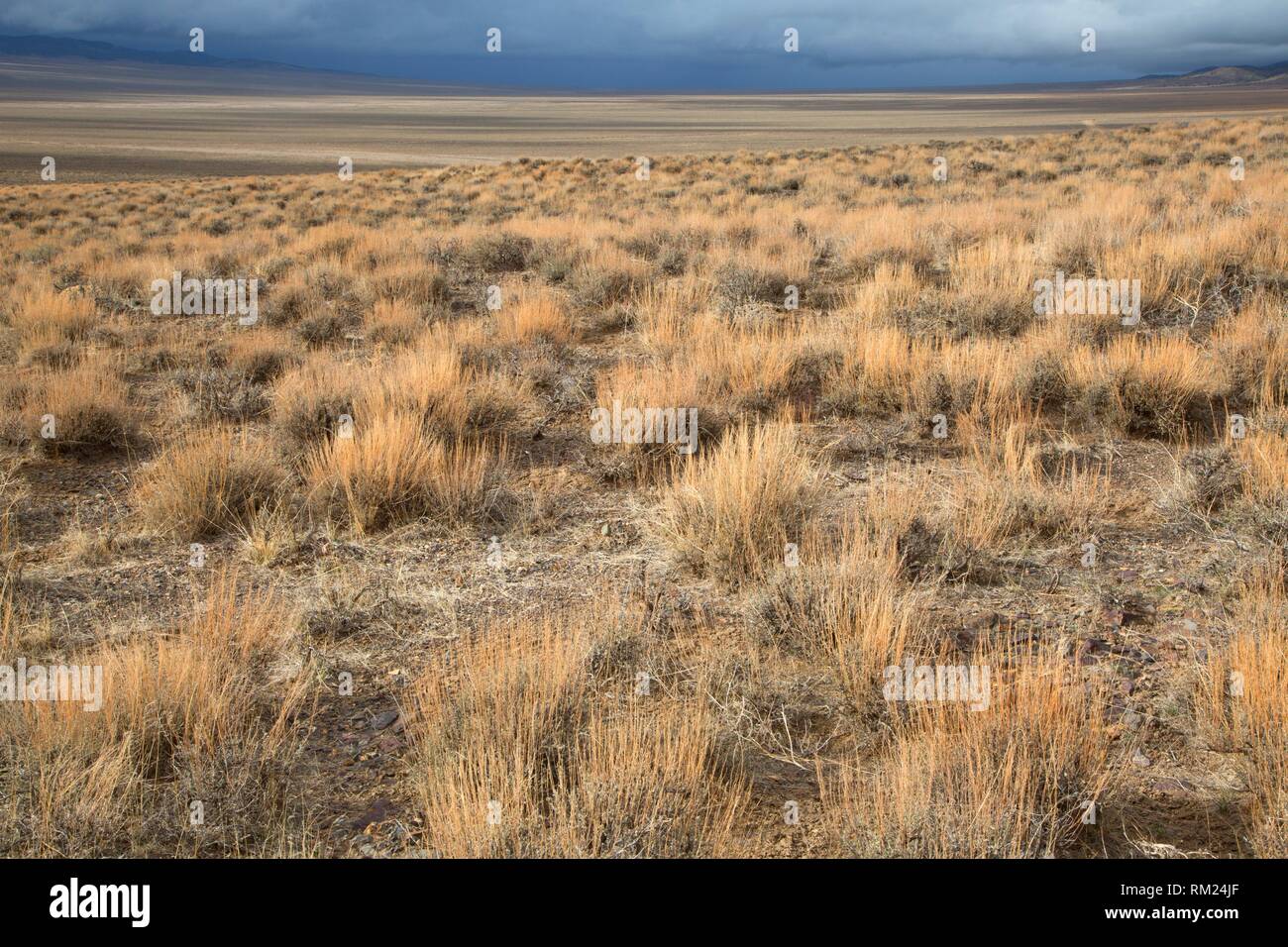 Open valley hi-res stock photography and images - Alamy