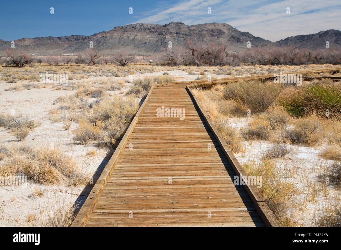 Ash meadows national refuge hi-res stock photography and images - Alamy