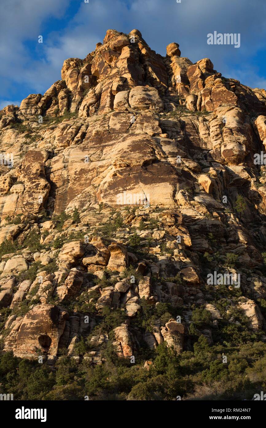 Red sandstone canyon hi-res stock photography and images - Alamy