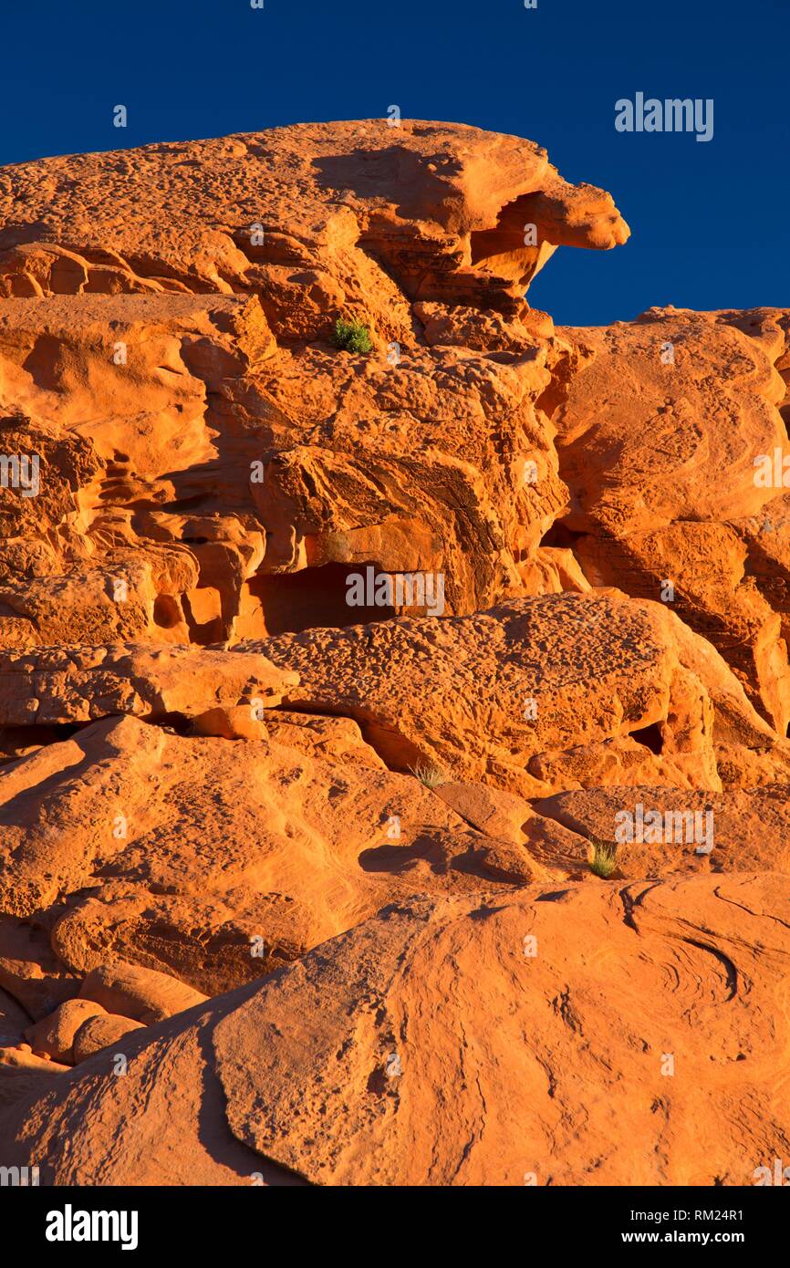 Lake mead recreational area hi-res stock photography and images - Alamy