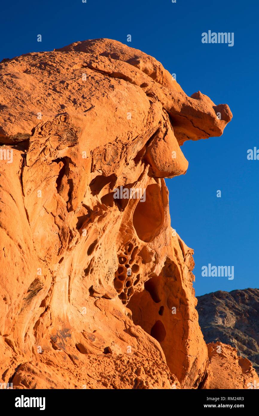 Lake mead recreational area hi-res stock photography and images - Alamy