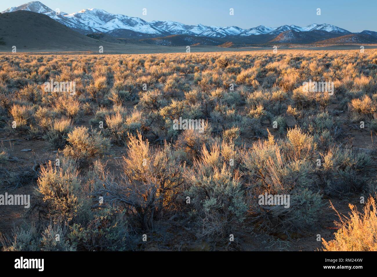 Kobeh valley hi-res stock photography and images - Alamy