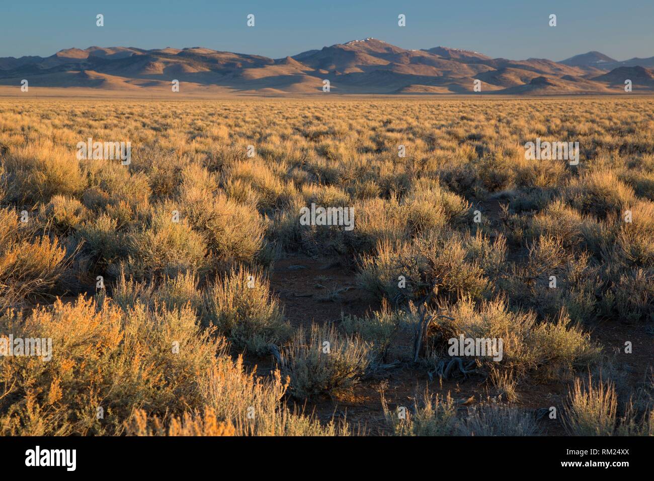 Kobeh valley hi-res stock photography and images - Alamy