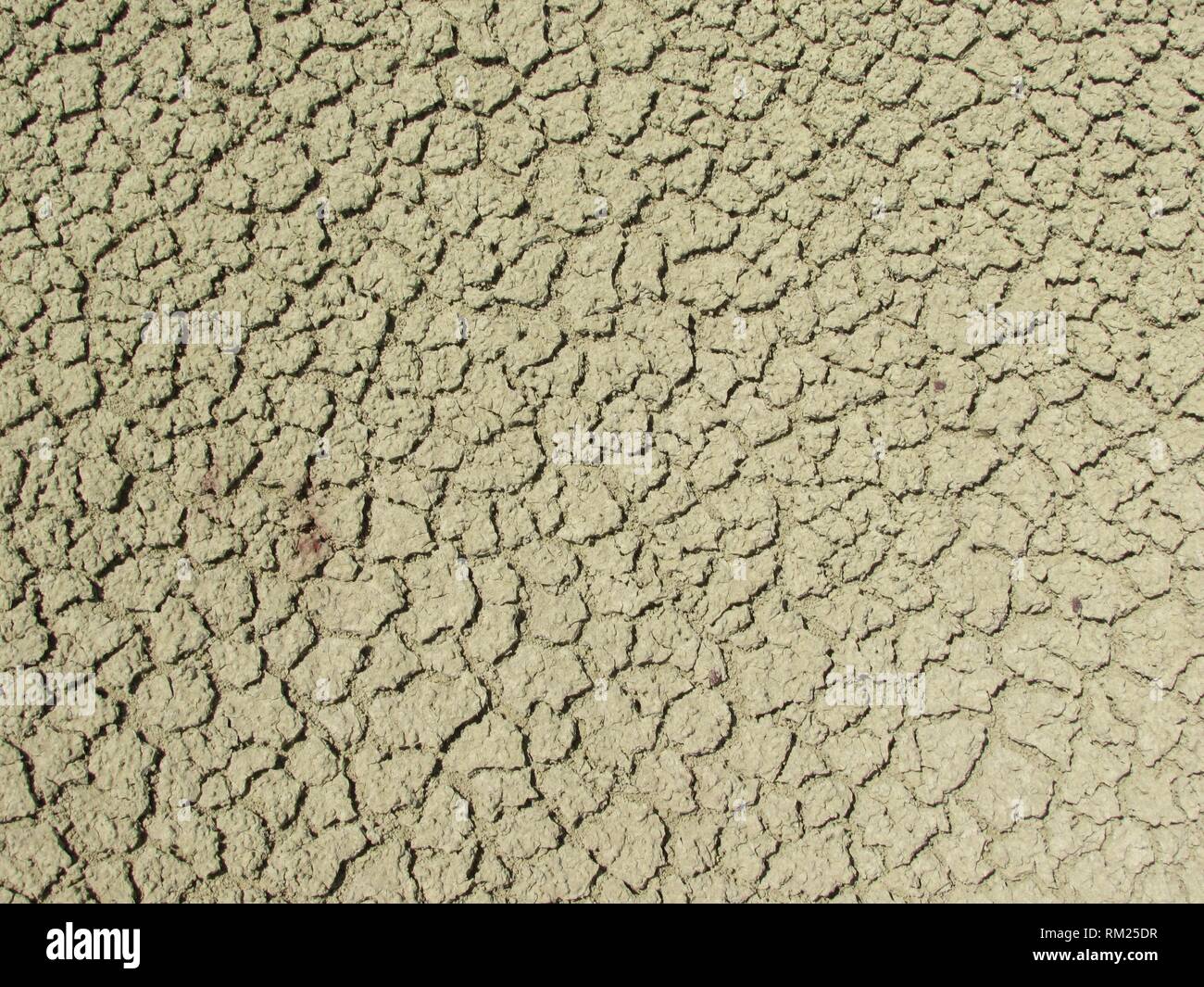 Dried mud detail hi-res stock photography and images - Alamy