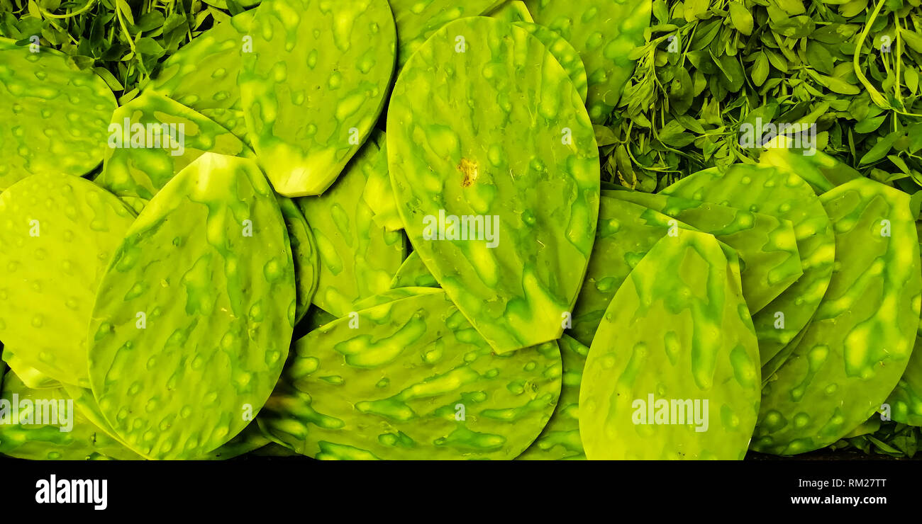 stack of fresh clean, without spines nopales Stock Photo - Alamy
