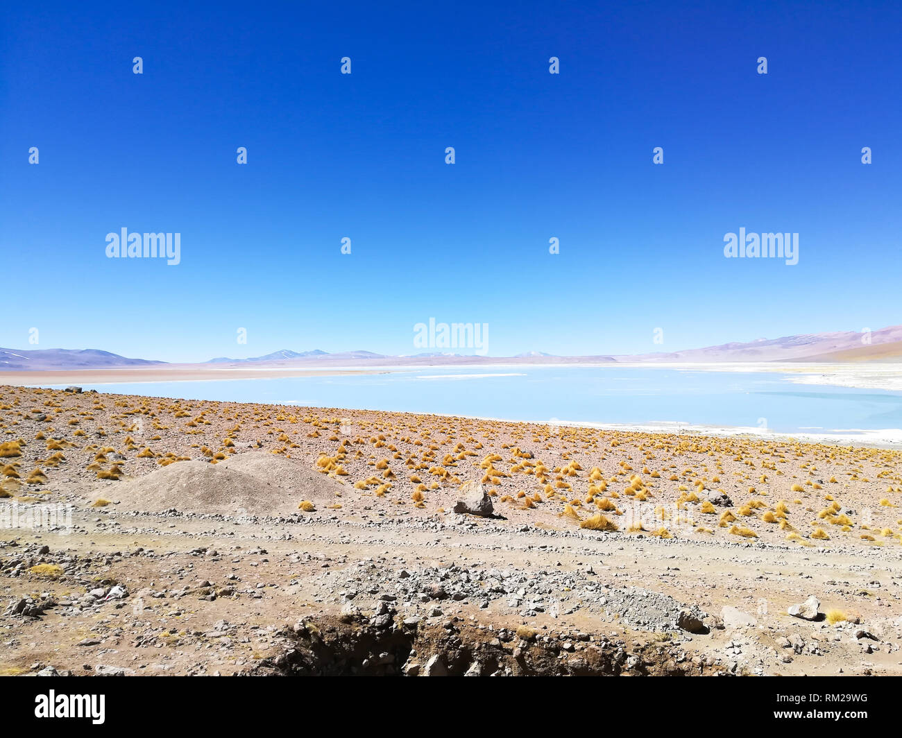 Bolivian lagoon landscape, Aguas Termales de Polques,Bolivia Stock ...