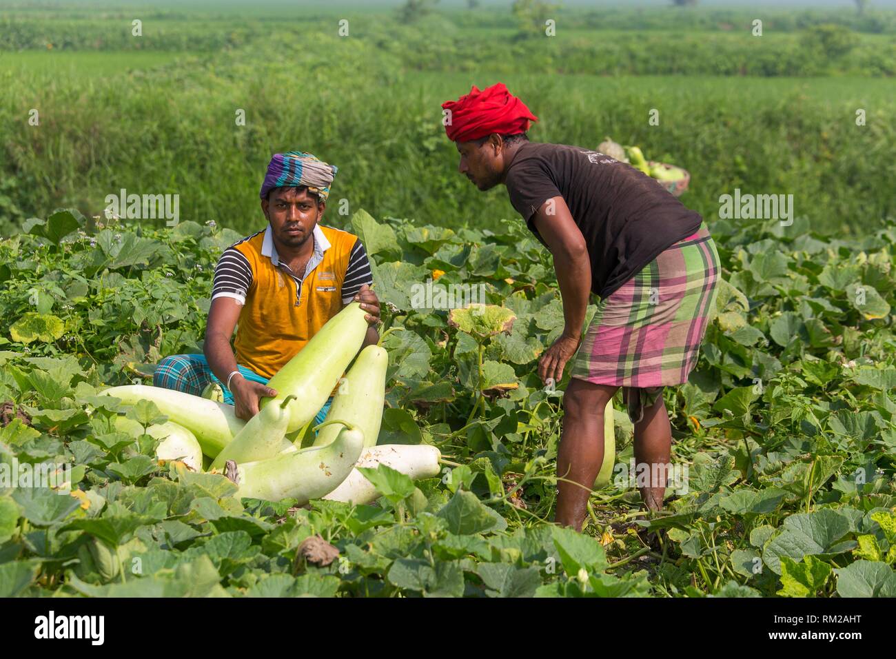 The Arial Beel (water body) of Munshiganj is famous for producing ...