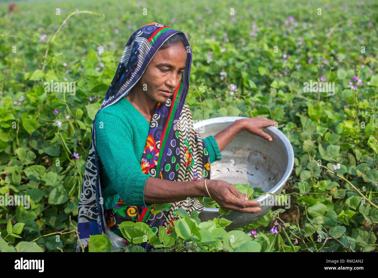 Old dhaka market trader hi-res stock photography and images - Alamy