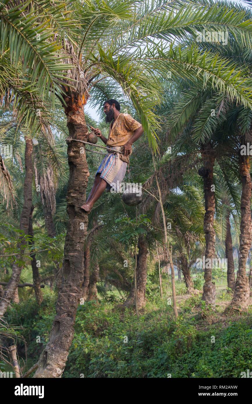 Indian jaggery production hi-res stock photography and images - Alamy