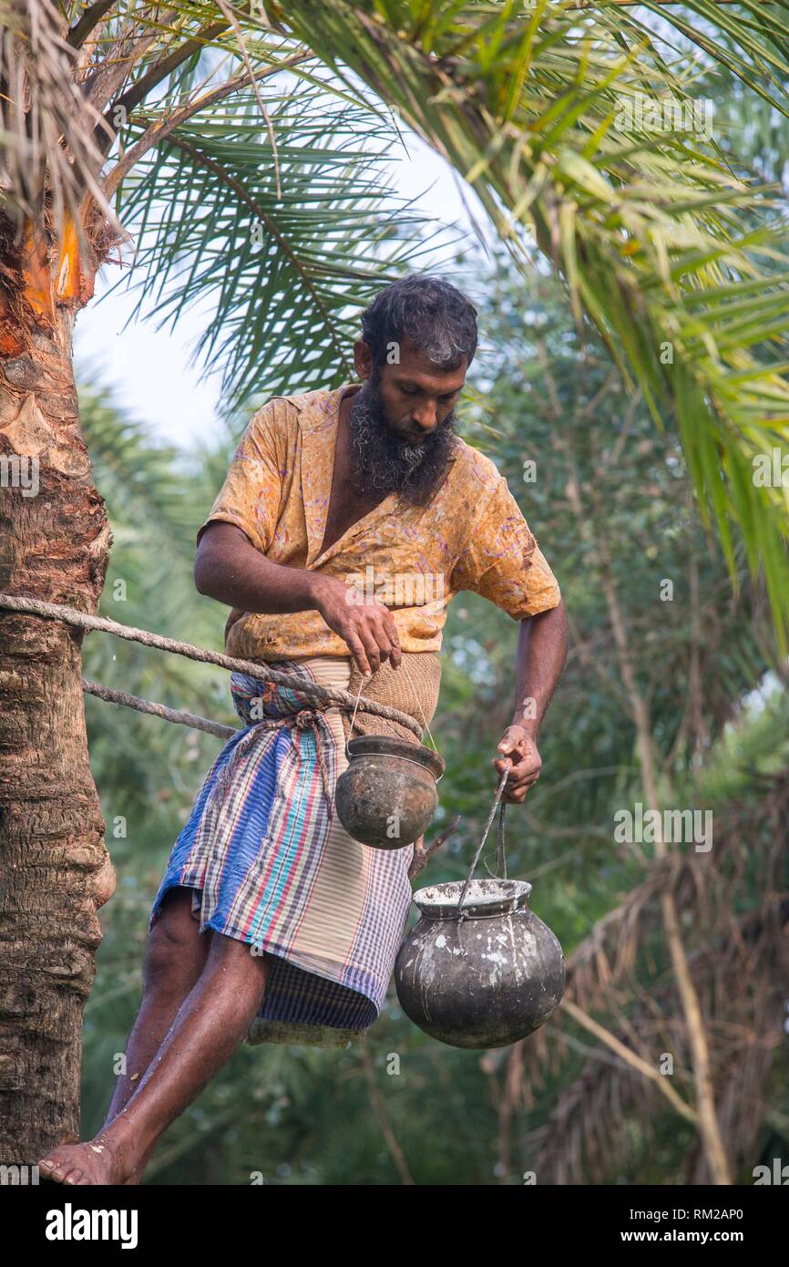 Indian toddy hi-res stock photography and images - Alamy