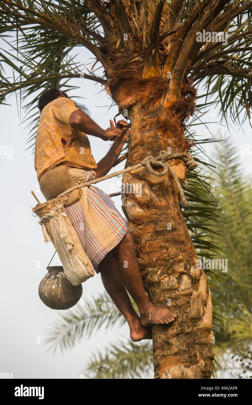 Patali gur hi-res stock photography and images - Alamy