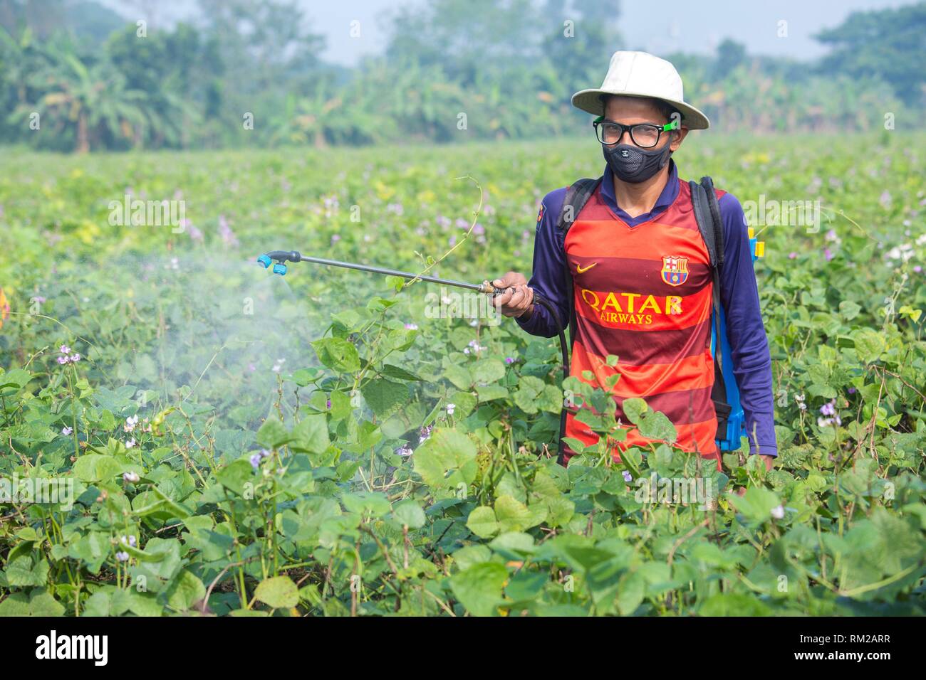Farmer Spraying Insecticides