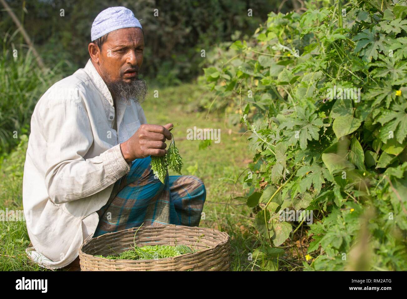 Bitter man hi-res stock photography and images - Alamy