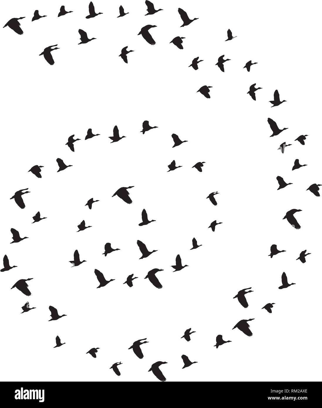 Realistic Flying Birds