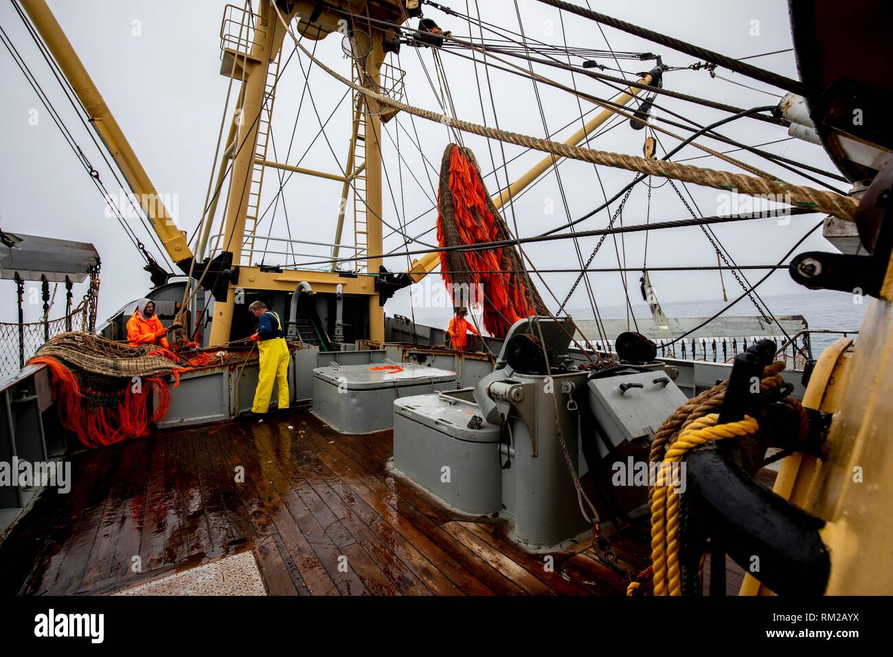 Pulse Fishing High Resolution Stock Photography and Images - Alamy