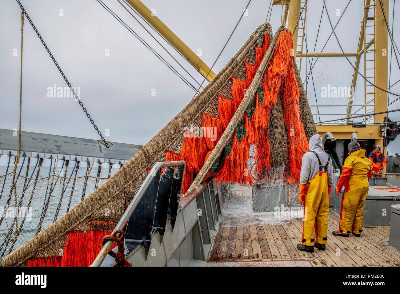 Pulse Fishing High Resolution Stock Photography and Images - Alamy