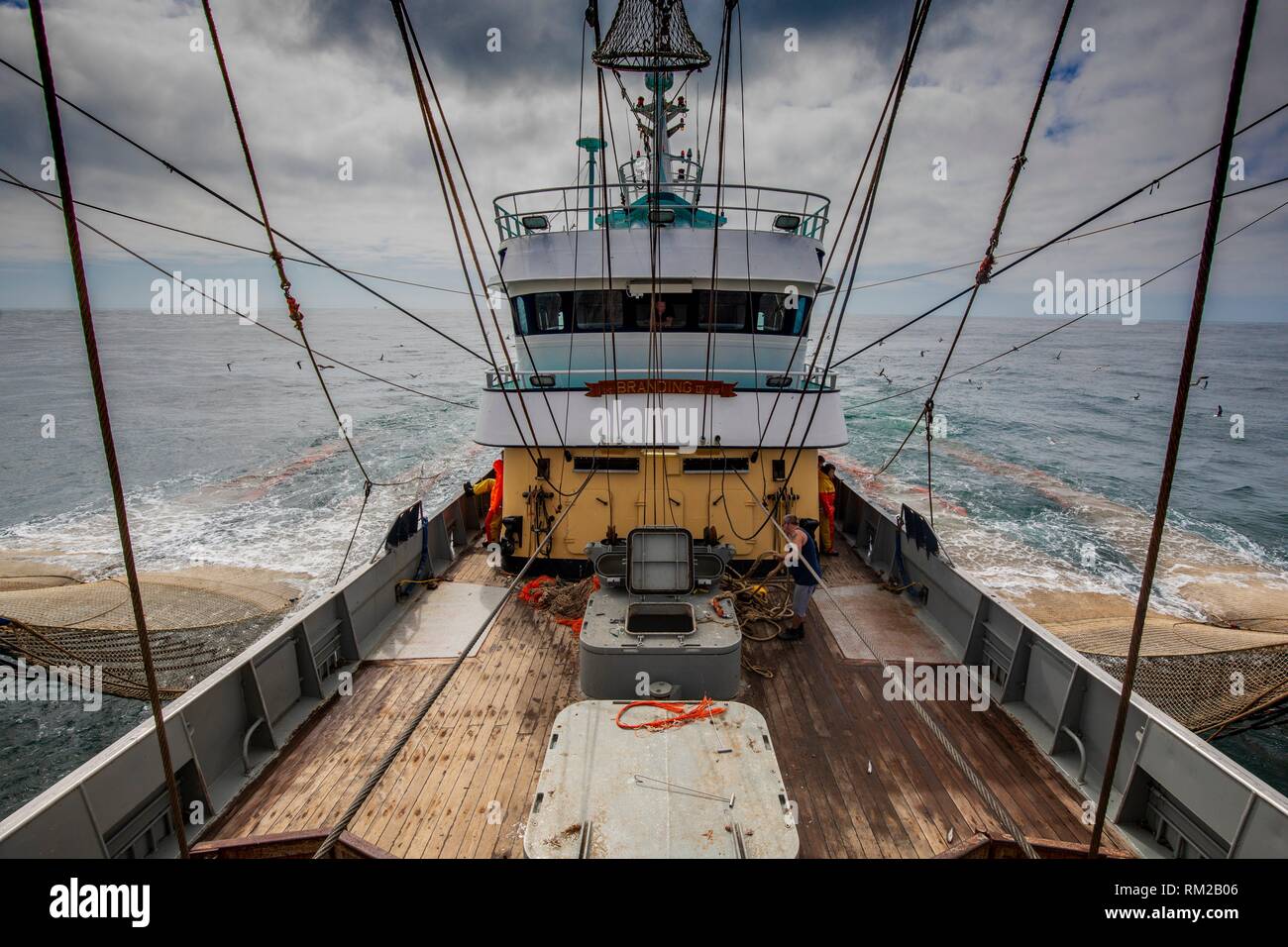 Pulse Fishing High Resolution Stock Photography and Images - Alamy