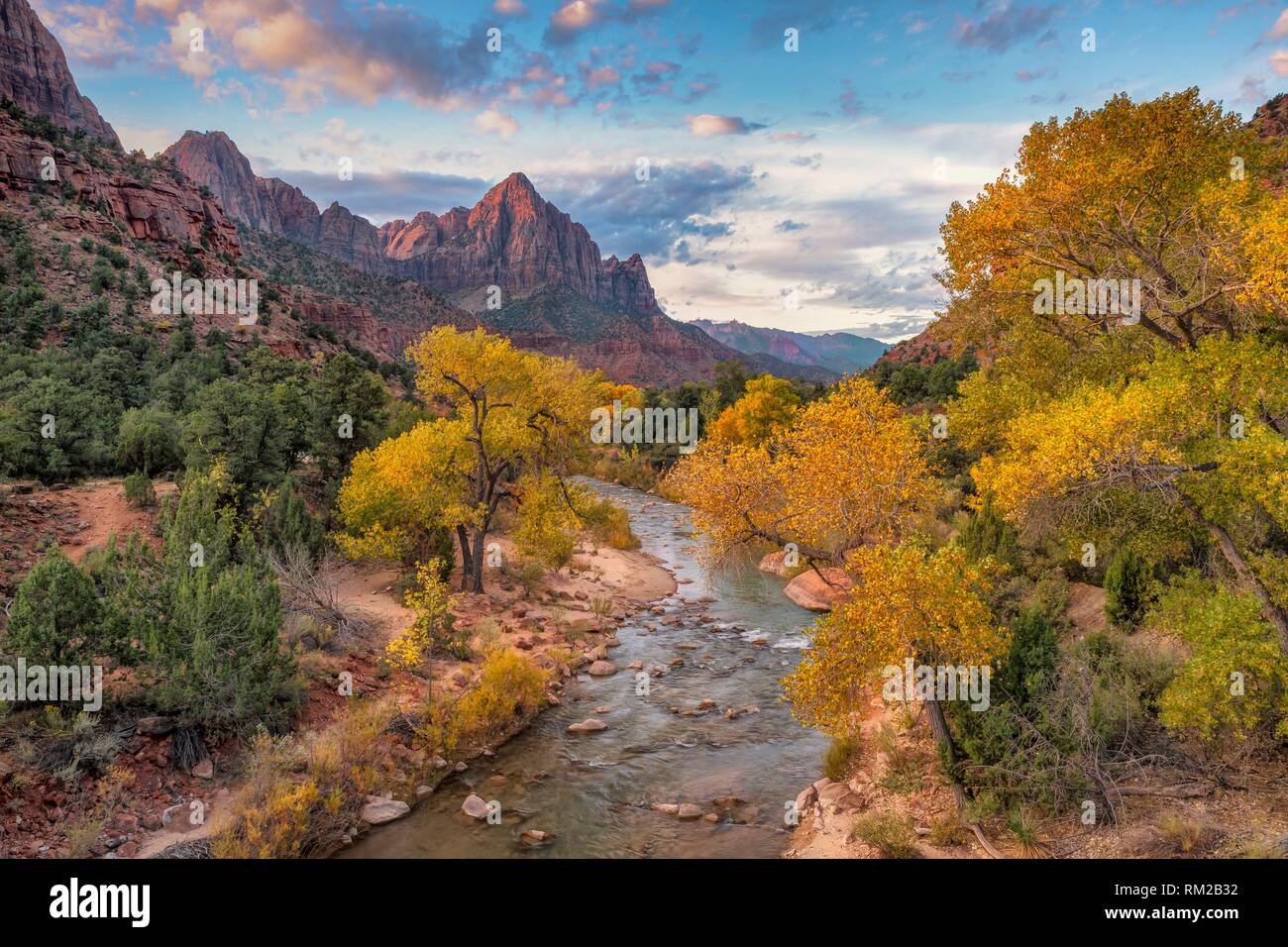 Fall Color In Zion National Park High Resolution Stock Photography and ...