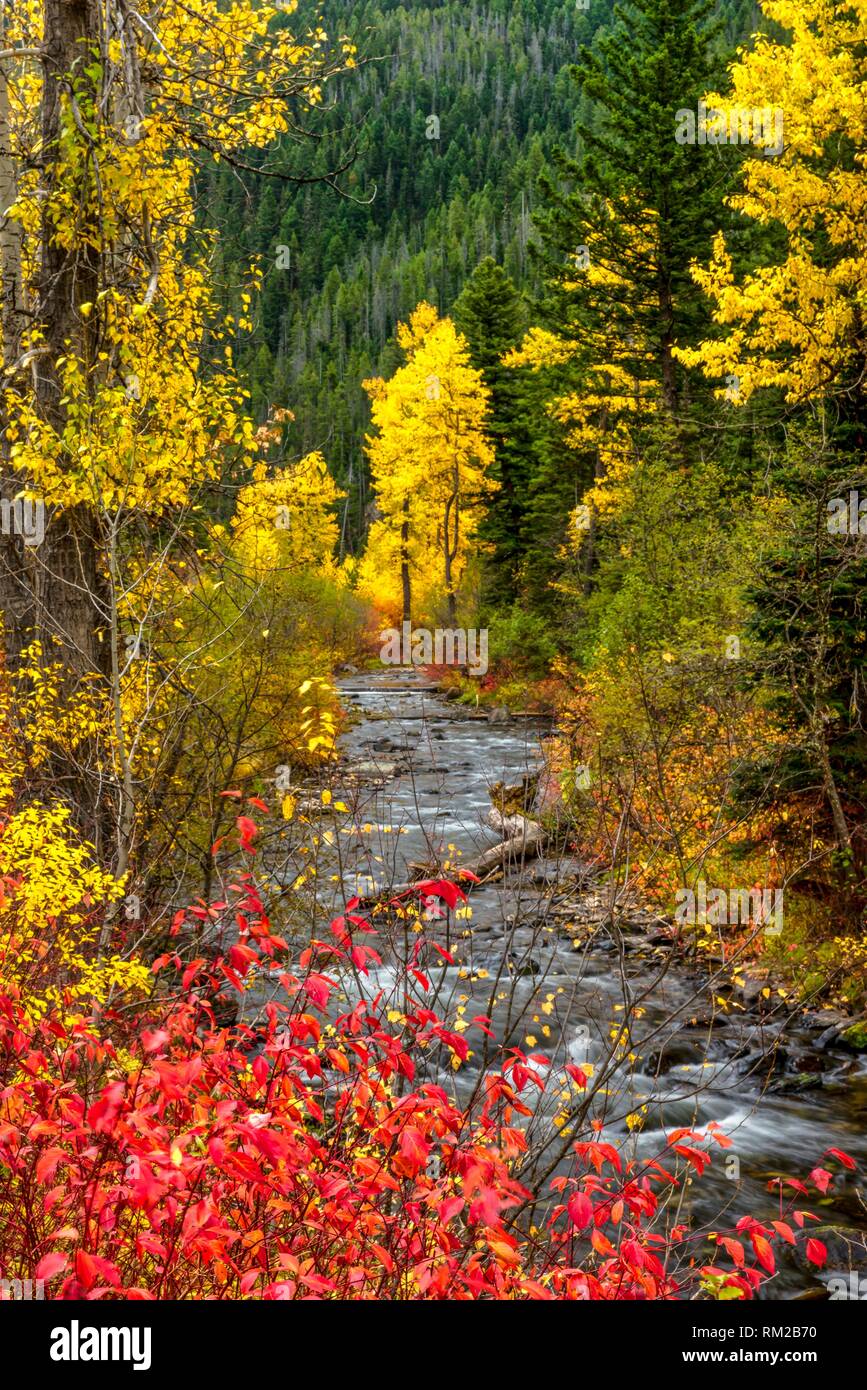 Bozeman montana fall hi-res stock photography and images - Alamy