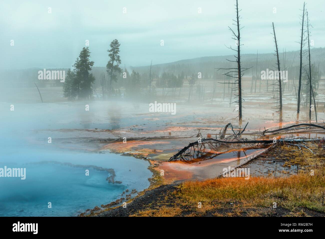 Yellowstone Hot Springs Stock Photos & Yellowstone Hot Springs Stock ...