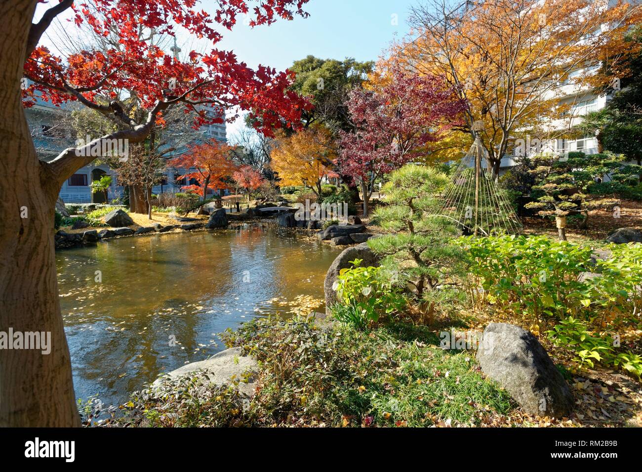 Sumida park hi-res stock photography and images - Alamy