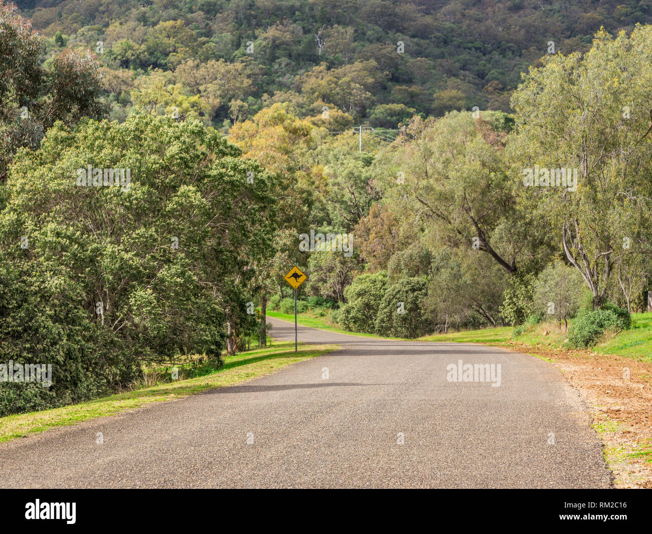 Rural country road in Australia, with a kangaroo traffic warning sign ...