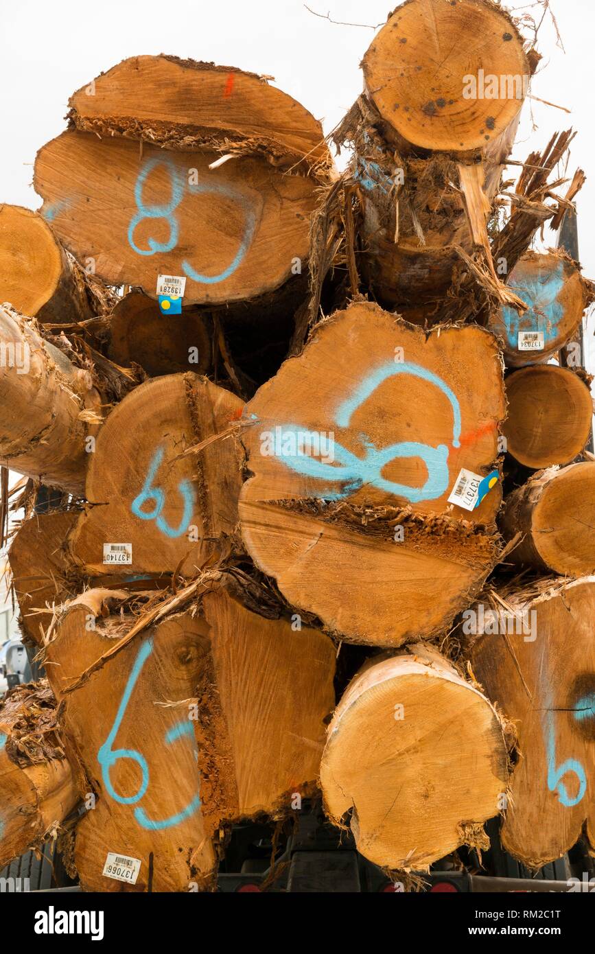Logging Industry Canada Logs High Resolution Stock Photography and ...