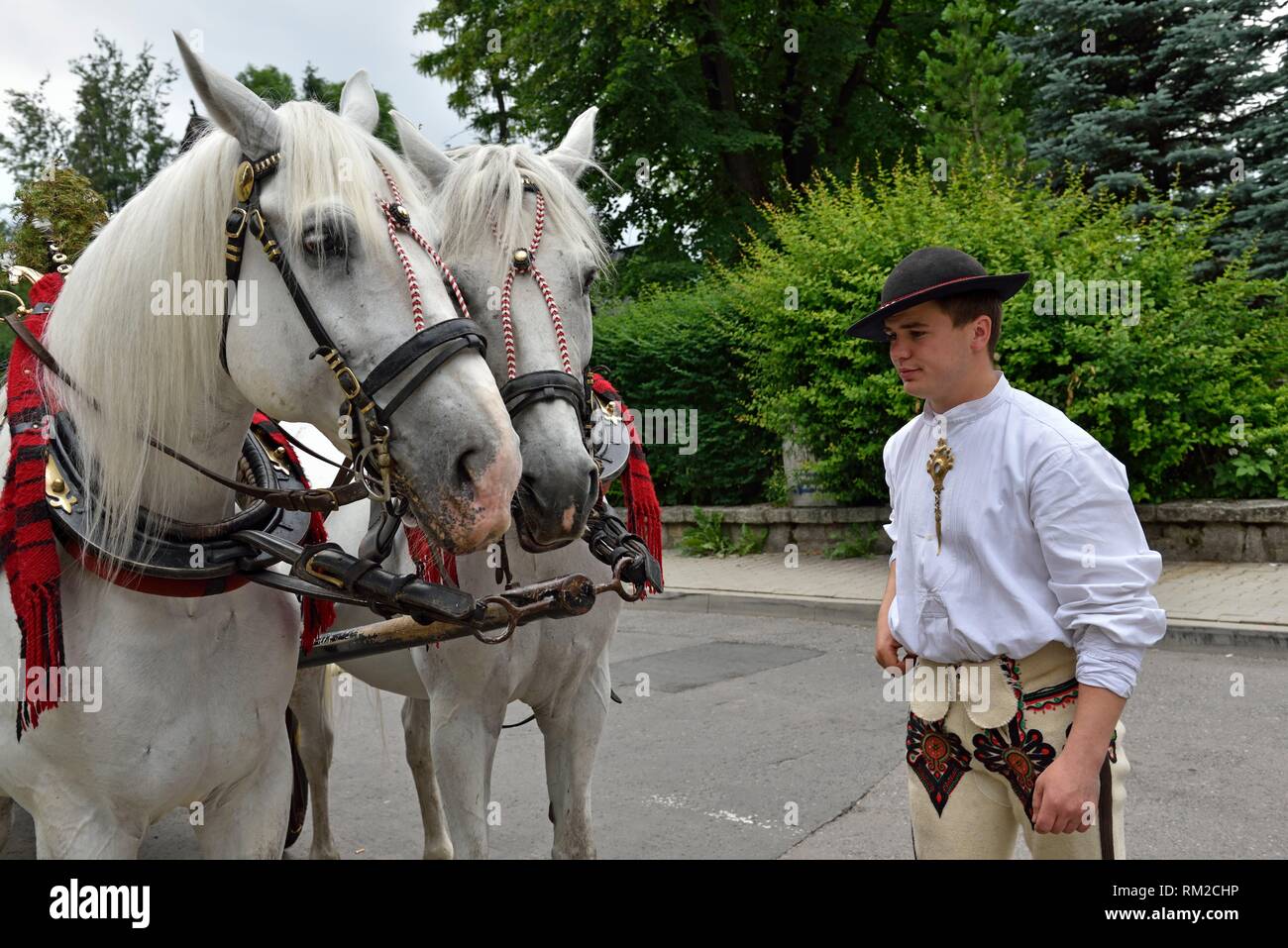Coachman High Resolution Stock Photography and Images - Alamy