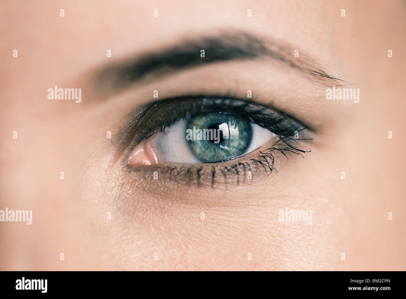 Human Green Eye High Resolution Stock Photography and Images - Alamy