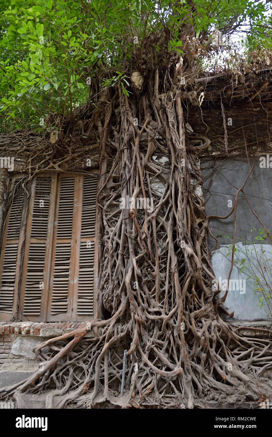 Old ruined wall building facade hi-res stock photography and images - Alamy