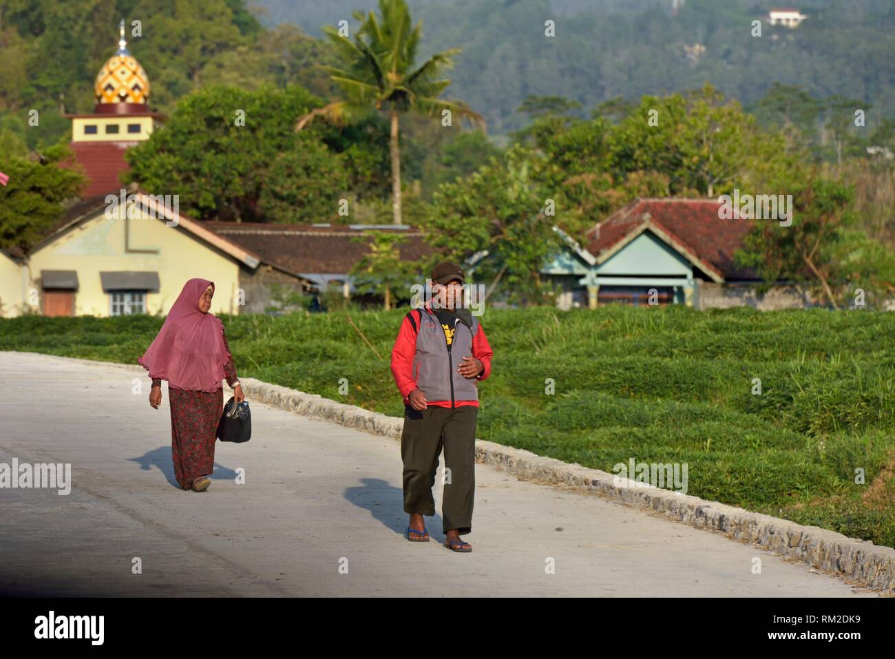 Java village hi-res stock photography and images - Alamy