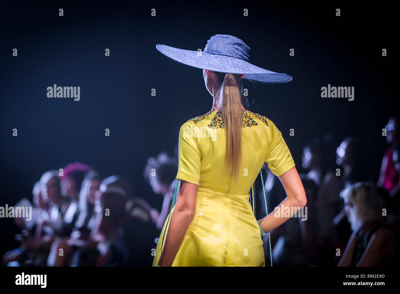 Fashion Show, Catwalk Event, Runway Show, Fashion Week themed photo ...