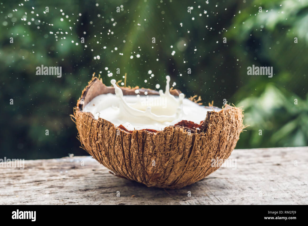 Coconut fruit and milk splash inside it on a background of a palm tree ...
