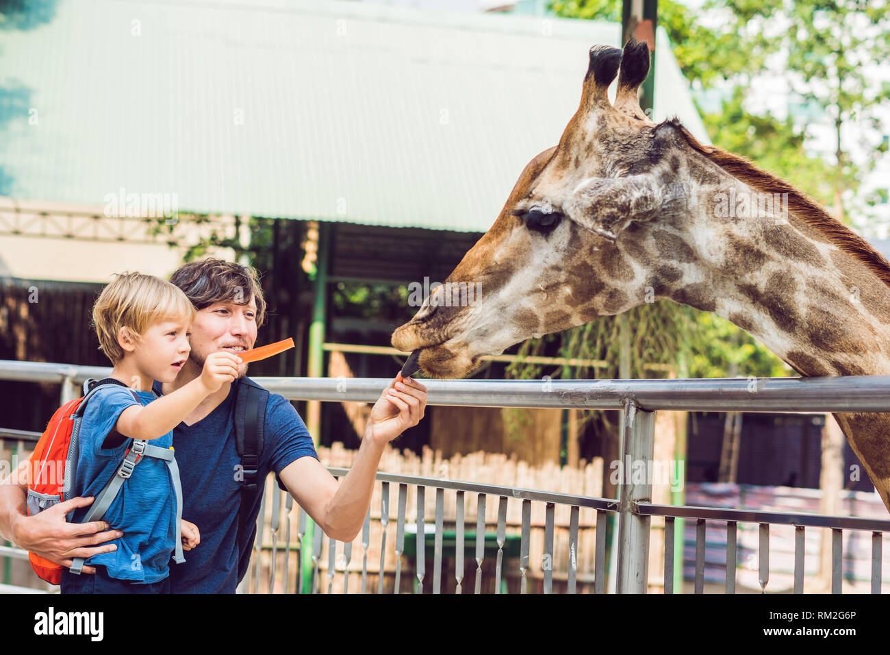 Father and son watching and feeding giraffe in zoo. Happy kid having ...