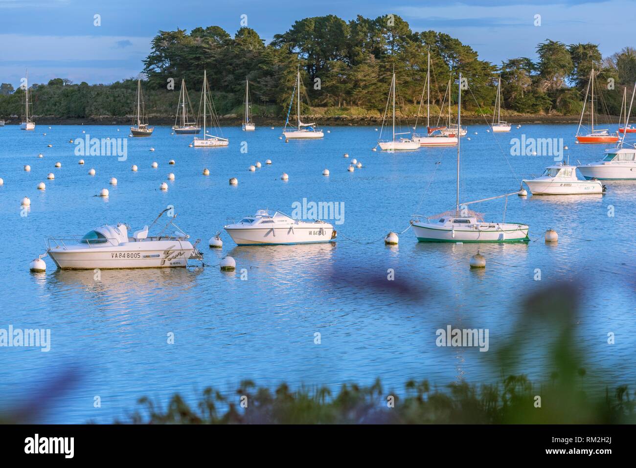 Gulf Of Morbihan Regional Nature Park High Resolution Stock Photography ...